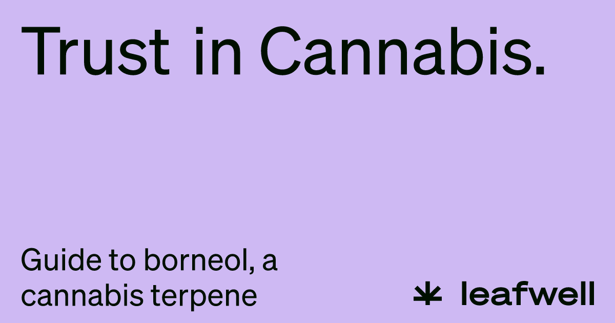 What is borneol? Benefits and uses in cannabis